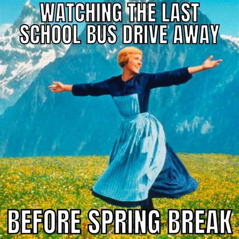 Funny Spring Break Memes Sun Sand And Sarcasm