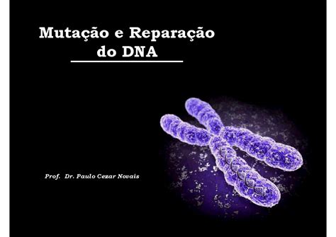 Mutação E Reparação Do Dna Conceitos E Mecanismos Biológicos Mutação