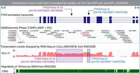 Profiling Rna Seq At Multiple Resolutions Markedly Increases The Number