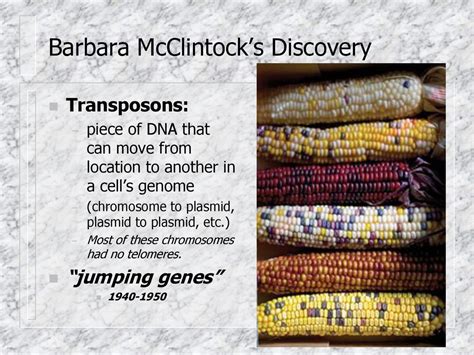 Chapter 18 ~ The Genetics Of Viruses And Bacteria Ppt Download