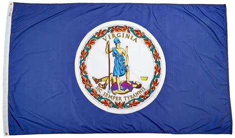 Virginia Colony Flag Virginia State Flag Vector Illustration