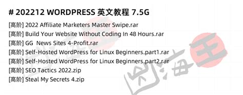 wordpress教程，wp建站主题模板插件仿站二次开发课程 出海王