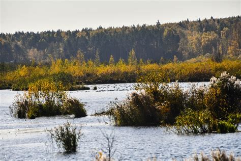 Лосиный остров | 33 best free россия, лосиный остров, outdoor and land ...
