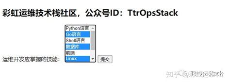 前端数据提交给后端之html表单简单剖析 知乎