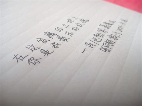 聂鲁达《最后的玫瑰》远方海子木心诗选大山谷图库