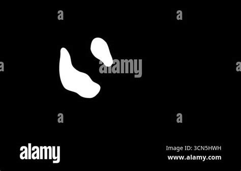 Animated Splatter Effect With Dynamic Organic Shapes On A Black Background For Visual Effects