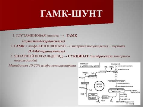 Биохимические особенности метаболизма мозга презентация, доклад