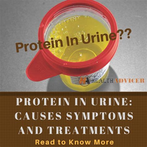 Blood And Protein In Urine Female Nhs At William Skinner Blog