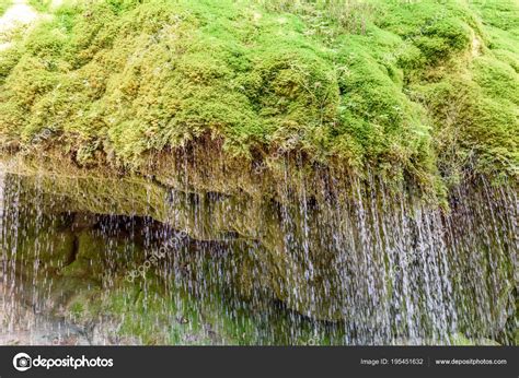 Wutach Gorge River Moos Grass Walking Beautiful Landscape Blackforest
