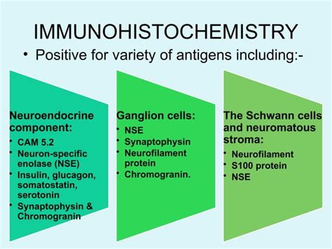 Spindle Cell Lesions Of Git Pptx Free Download