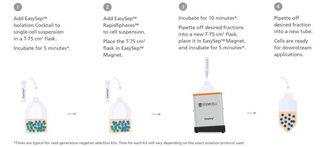 Cell Isolation With The Easy 250 Easysep™ Magnet