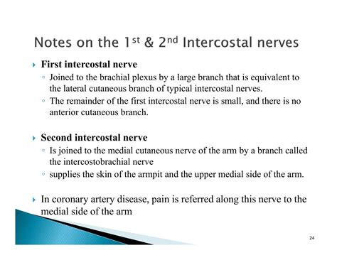Thoracic Cage Thoracic Inlet Pdf