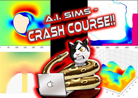 2024 Ai Simulation Crash Courses The Curio Cat