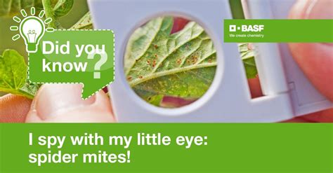 Devendra Vyas On Linkedin Basfinsecticides Nealta Basfinag Farming