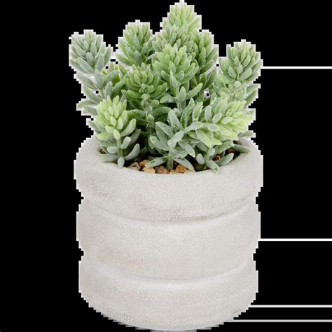 Pianta Grassa Finta In Vaso Action It