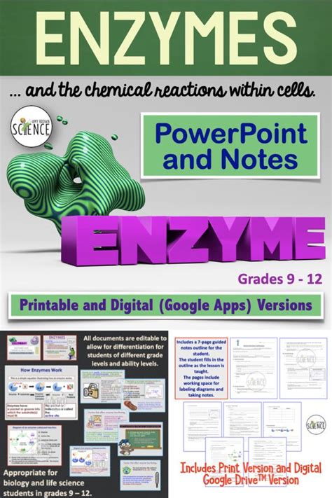 Enzymes PowerPoint And Notes High School Biology Class Energy Activities Traditional Printable