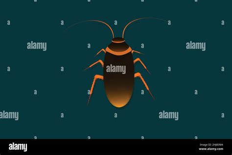 Cockroach Vector Vectors Stock Vector Images Alamy
