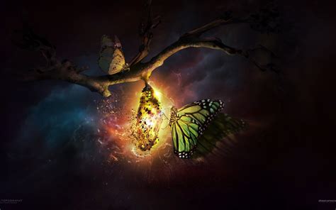 640x1136 resolution | green and white butterfly art wallpaper ...