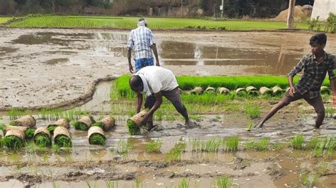 RaithuRunaMafi రత రణమఫ లసట రడపరతయక యప ల రతల జబత సదధ is the farmer
