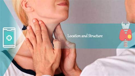 Thyroid Template Pptx