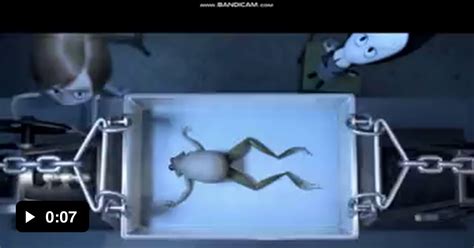 How Programer Feels Like When Running Their Code GAG