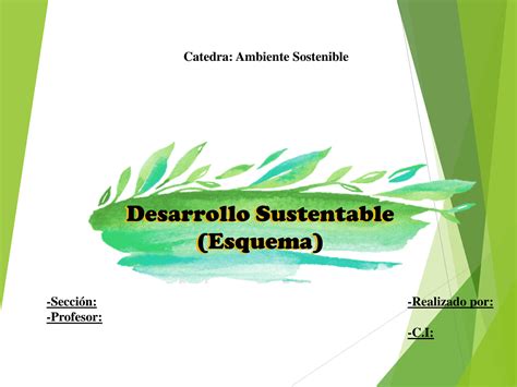 Solution Desarrollo Sustentable Esquema Studypool – eroppa
