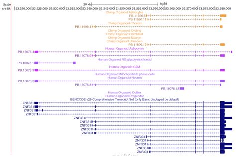 Click This Youtube Video If You Want To Know More