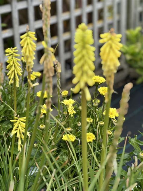 The Plant Plot The Plant Plot Added A New Photo