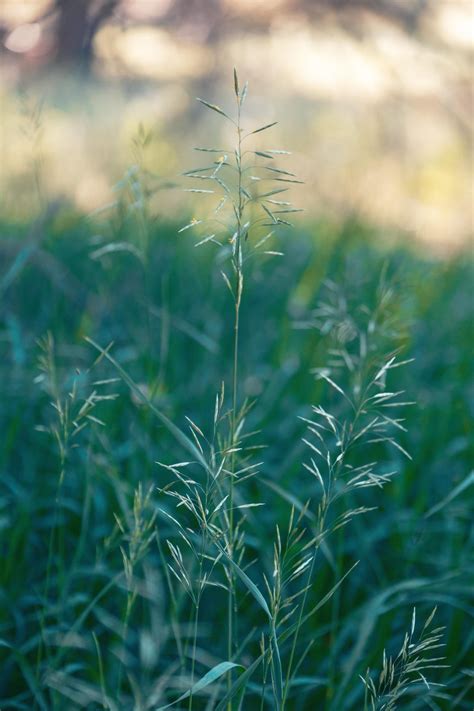 Touching Some Grass Xh2xf50 140 Rfujix