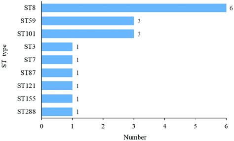 Numbers Of Strains Of Each ST Type Download Scientific Diagram