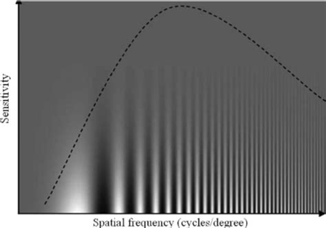 Test Image For Hvs Frequency Response Evaluation With Superimposed