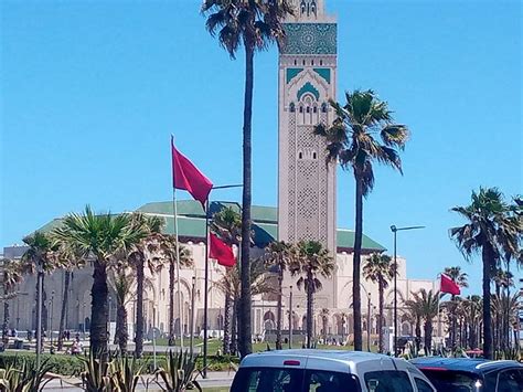 بيست تراد Besttrade Casablanca