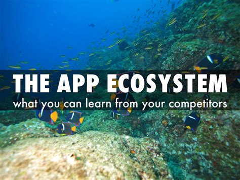 The App ECOSYSTEM By Valentina Rubi Munoz