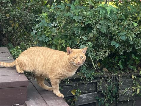 신 유림 Yoolmoooooo • Instagram Photos And Videos