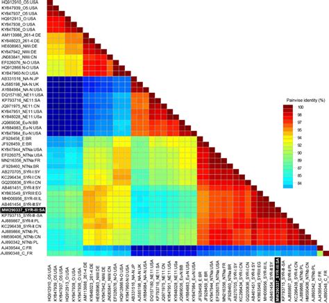 Nucleotide Sequence Comparison Of Full Length Pvy Genome To The Related