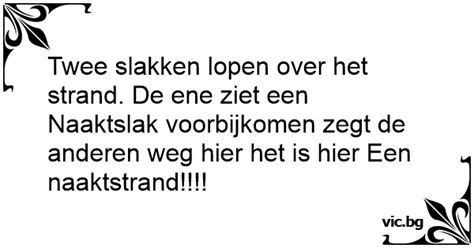 Twee Slakken Lopen Over Het Strand De Ene Ziet Een Naaktslak