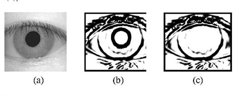 Figure 4 From Segmenting Non Ideal Irises Using Geodesic Active Contours Semantic Scholar