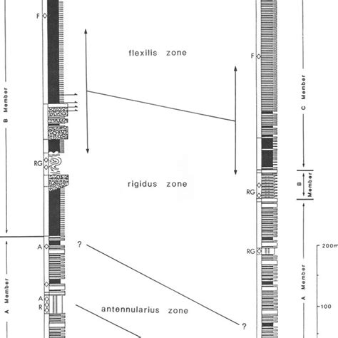Summary Sedimentary Stratigraphic Diagram Showing Correlation Between