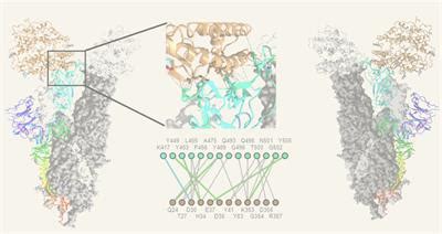 Frontiers In Bioinformatics Integrative Bioinformatics