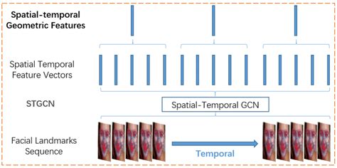 We Perform Facial Landmarks Detection In A Ideo And Construct Spatial