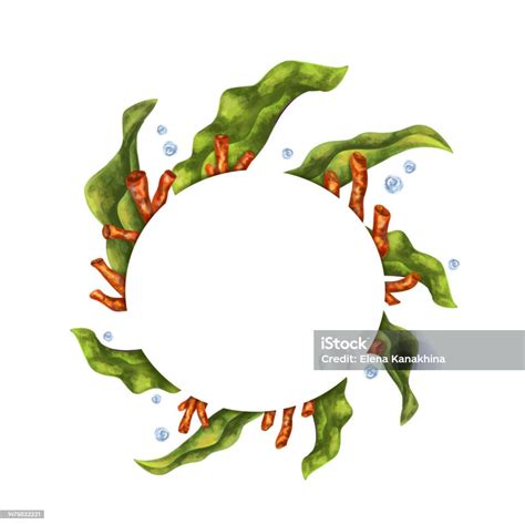 원형 수중 세계를 가진 밝은 구성 붉은 산호와 해초 인쇄 스티커 포스터 엽서 인쇄물 기념품 구도에 대한 스톡 벡터 아트 및 기타