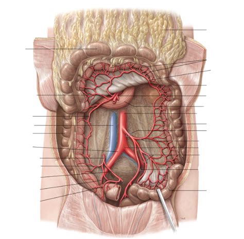 Ex 3 Lab 10 Diagram Quizlet