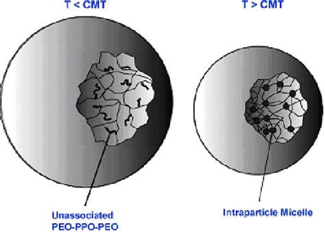 Structure Of The Cross Linked Pluronic Paa Microgel Particles 109
