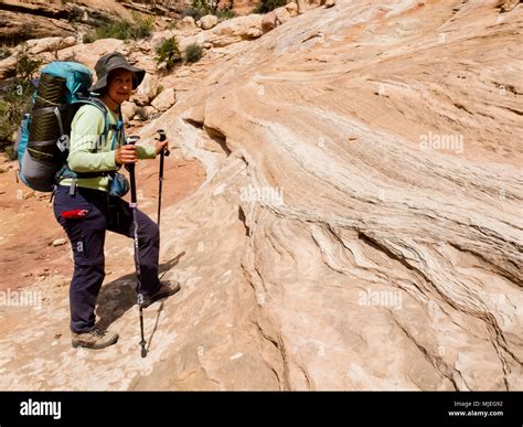 Lithification Of Sand Dunes Is The Process Turning Unconsolidated Sand