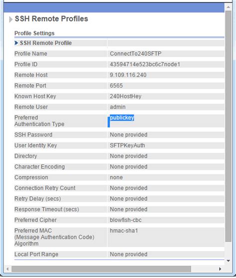 Connecting To Ibm Sterling B2b Integrator Sbi Sftp Server Using