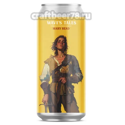Пиво Waves Tales Mary Read от Plan B 0 45л — Фруктовый гозе купить