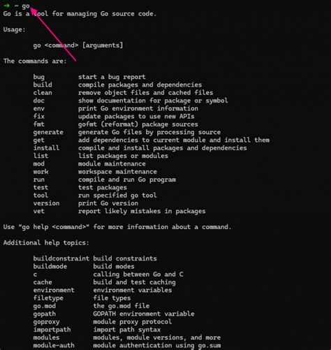 Install Golang On Linux Selftuts
