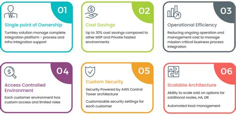 Boomi Hosting Services Boomi Support