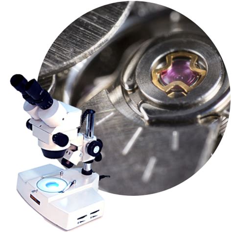 Meet The Scientist Behind The Mrna Vaccine