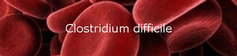 Clostridium Difficile